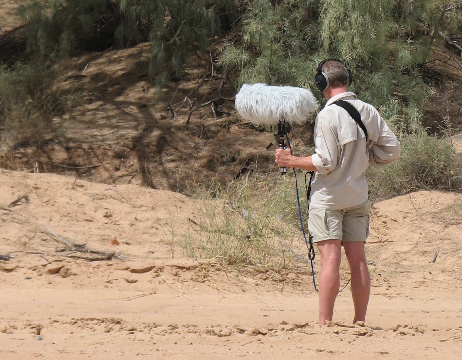 Listening to Australia (radio) - Robin Minard